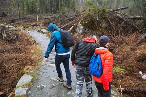 등산 여행 중 산에서 진흙 투성이의 길을 걷는 아버지와 두 아들의 뒷 전망 10 11세에 대한 스톡 사진 및 기타 이미지 10 11세 12 13세 14 15 살