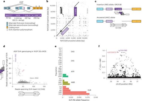 broad institute of mit and harvard on linkedin a sequence of sva retrotransposon insertions in