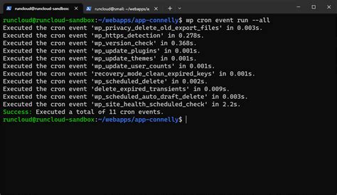 Understanding Wp Cron Runcloud Docs