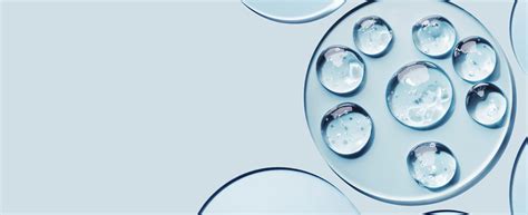 Under The Microscope Levy Health