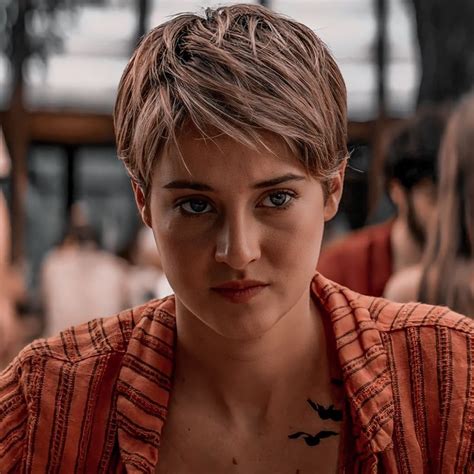 ♛ΥΠΕΡΑΣΠΙΣΤΗΣ♛ Shailene Woodley The Divergent Series Divergent Icons
