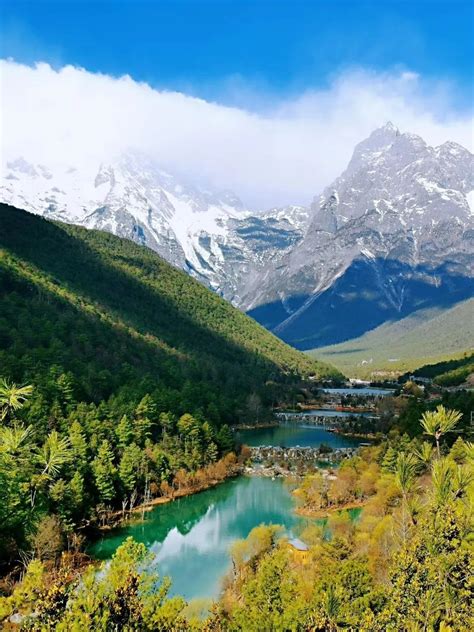 来丽江吧！游走在青山绿水间，遇见生物多样性之美丽江市玉龙雪山新浪新闻