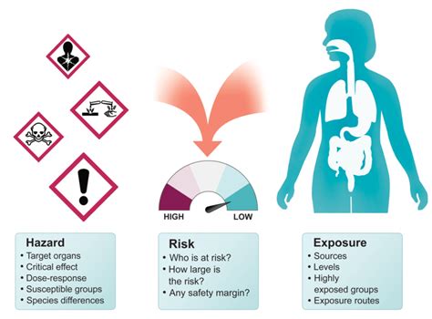 Environmental Risk Assessment Basics