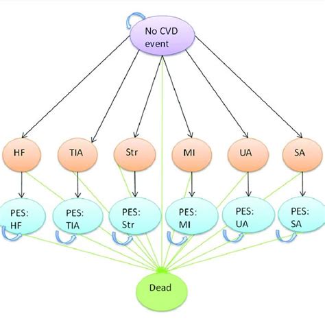 Figure Model Structure Cvd Indicates Cardiovascular Disease Hf Download Scientific Diagram