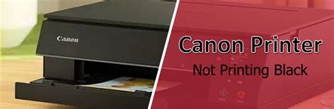Guide To Solving Canon Printer Not Print