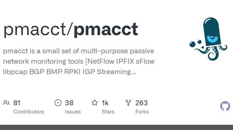 Day 106 Securing Networks With Pmaccts Versatile Monitoring Tools