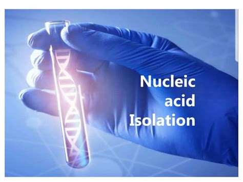 Dna Isolation Molecular Biology Practicalpptx Biological Sciences