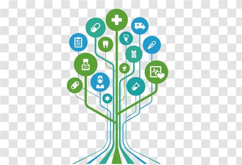 Biomedical Engineering Health Care System Technology Diagram Tree