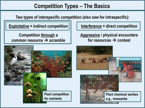 Ppt Fw364 Ecological Problem Solving Powerpoint Presentation Free Download Id 6257174
