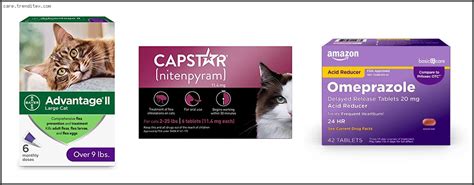 Top 10 Best Over The Counter Tick Medicine For Cats Based On Scores