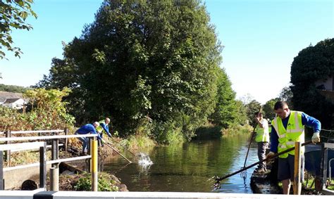 Work Parties At Clydach Lock In Pictures 5 9 17 To19 9 17 Swansea Canal Society