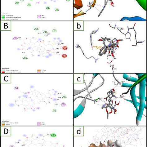 Formulation Of Nanoformulation After Encapsulation Of Vc Into Thiolated Download Scientific