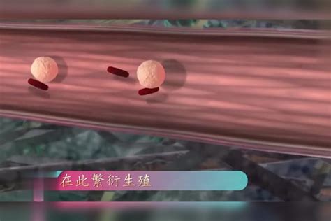 女性私密部位越干净越好专家作出分析很多女人做错了 部位 分析 女人