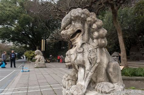 上海長風公園鐵臂山石獅成新網紅 市民爭相合影留念 每日頭條