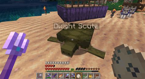 Which Version Of 120 Is Better For Forge Modding Rminecraft