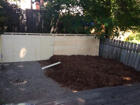 Countdown To Construction Tree Protection In Toronto Urbaneer