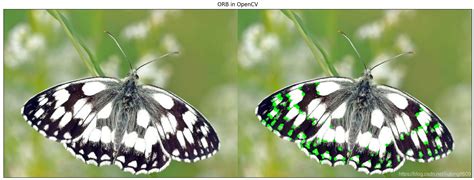 Pythonopencv：orb An Efficient Alternative To Sift Or Surfpython Orb
