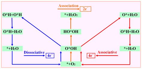 Construction Of Single Atom Catalysts For N O Synergistic Coordination And Application To