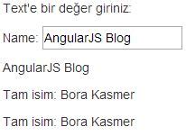 AngularJS Nedir Bazıları Hayal Eder Bazıları Yapar Bora Kaşmer borakasmer com