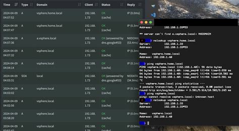 Ping Cant Resolve Vspherelocal But Can Resole Vspherehomelocal While Nslookup Can Resolve