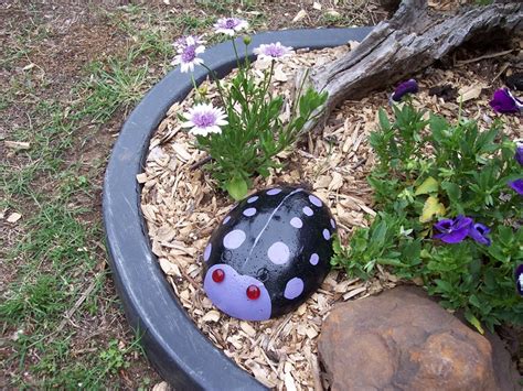 What Color Are Ladybugs Discover The Fascinating World Of Ladybug Colors