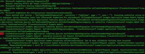 Consideration And Explanation Of Failed Validation Causes Exception That Is Logged As Error By