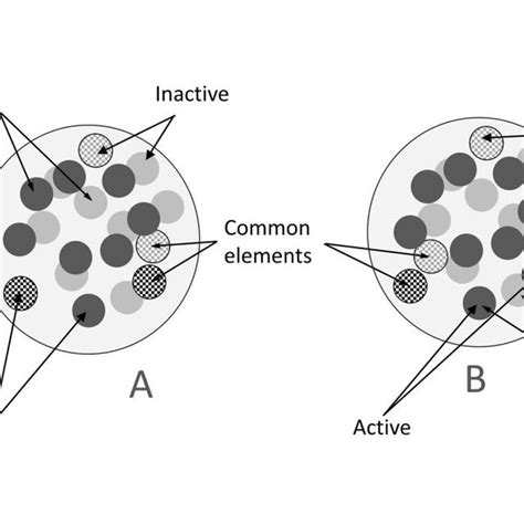 Algorithm Of The Dda Model With Step By Step Pseudo Code 4