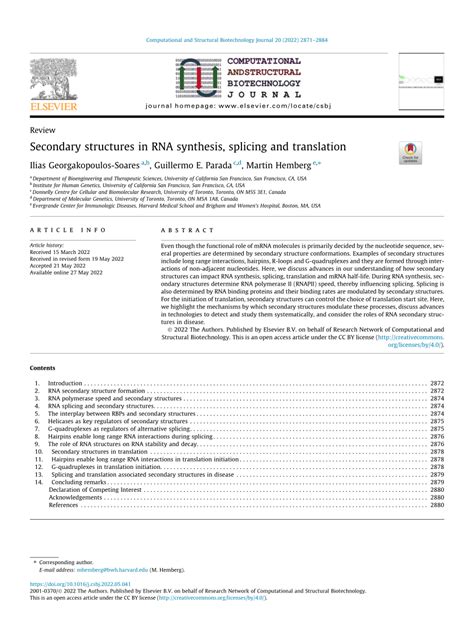 PDF Secondary Structures In RNA Synthesis Splicing And Translation