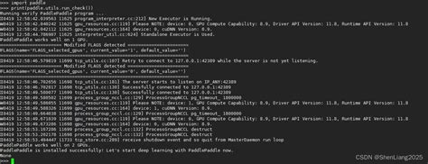 paddle多卡多个gpu并行运行之libnccl so nccl离线安装及配置详解 the third party dynamic library libnccl so that