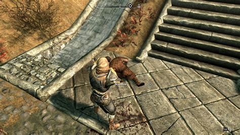 Ive Been Waiting For This Moment My Entire Live Rskyrim