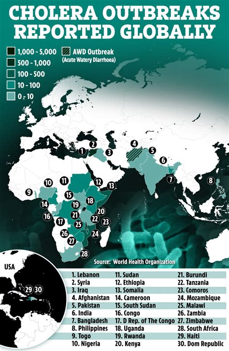 Tropical Disease That Kills Within Hours Threatens Holiday Hotspots