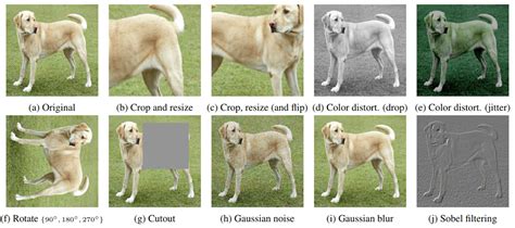 Grokking Self Supervised Representation Learning How It Works In Computer Vision And Why Ai