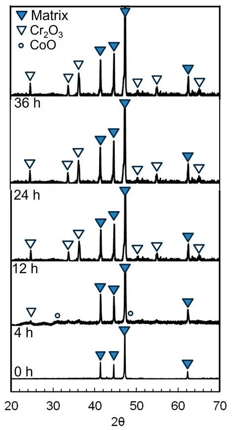Materials Free Full Text Enhanced Anti Corrosion Performance Of Co Cr Mo Alloy In Molten Al