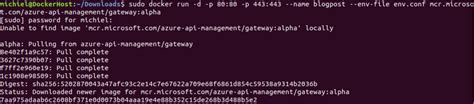 running azure api management anywhere with azure arc for api management codit