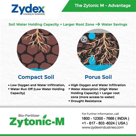 Suresh Patil On Linkedin Good Plz Send Information At Srpbanana