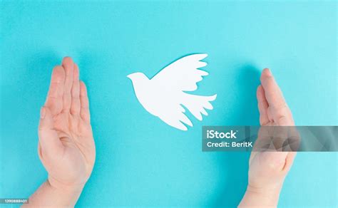 손에 흰색 비둘기를 들고 평화의 상징 종이 잘라 텍스트 에 대한 공간을 복사 개념에 대한 스톡 사진 및 기타 이미지 개념 종이접기 컷아웃 Istock