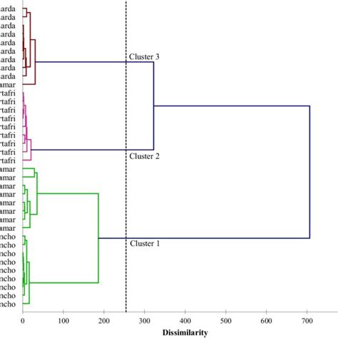 Hierarchical Cluster Analysis Dendrogram Of All Collected Data Obtained