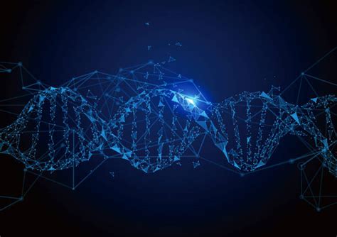 1700 Genetic Algorithm Illustrations Royalty Free Vector Graphics