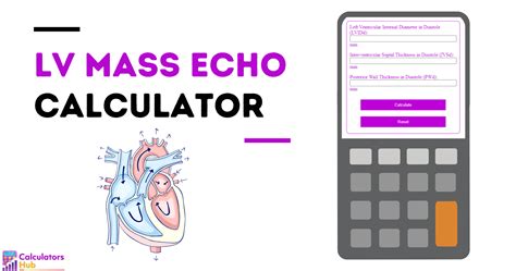LV Mass Echo Calculator Online