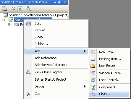 The C Net Binary Client Socket Program Example With Source Codes And Output Samples