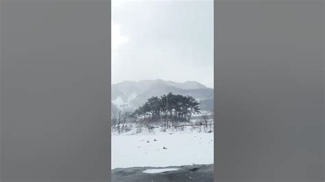 추운 바람소리 Youtube