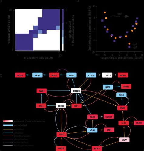 Data Overview And Quality Controls A All Time Points Of Replicate 1 Download Scientific