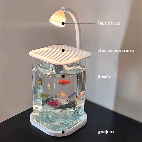 ตู้ปลา Mini ขนาดเล็ก สไตล์มินิมอล สีใสรอบด้าน มีโคมไฟ Led แสงวอร์ม Shopee Thailand