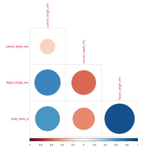 Basic Data Analysis With Palmerpenguins R Bloggers