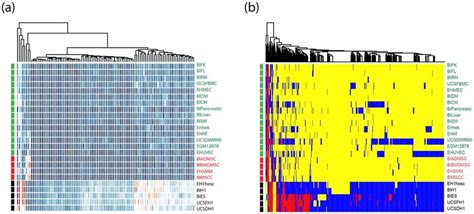 Differentiation Related Variation Of Histone Modification Patterns A