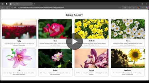Html Css Javascript Webdevelopment Frontenddevelopment Hiruni