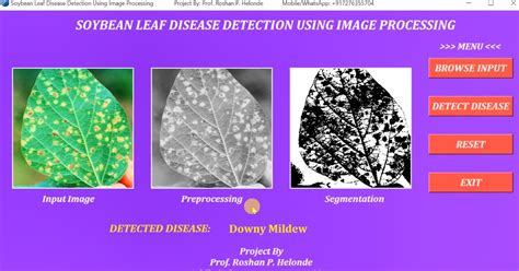 Soybean Leaf Diseases Detection Using Image Processing Python Project