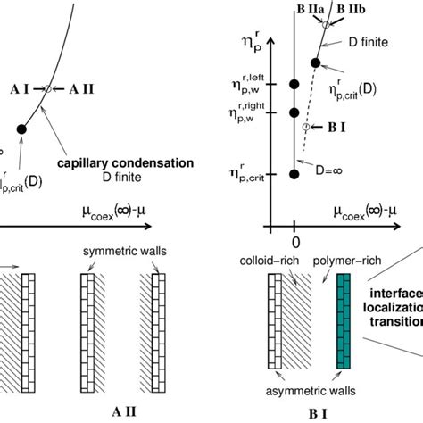 Schematic Phase Diagrams Of A Colloid Polymer Mixture Confined Between