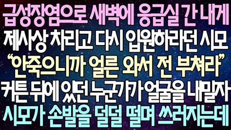 반전 사연 급성장염으로 새벽에 응급실 간 내게 제사상 차리고 다시 입원하라던 시모 커튼 뒤에 있던 누군가가 얼굴을 내밀자