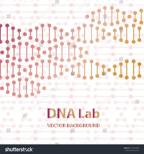 Dna Structure Double Helix On White Stock Vector Royalty Free